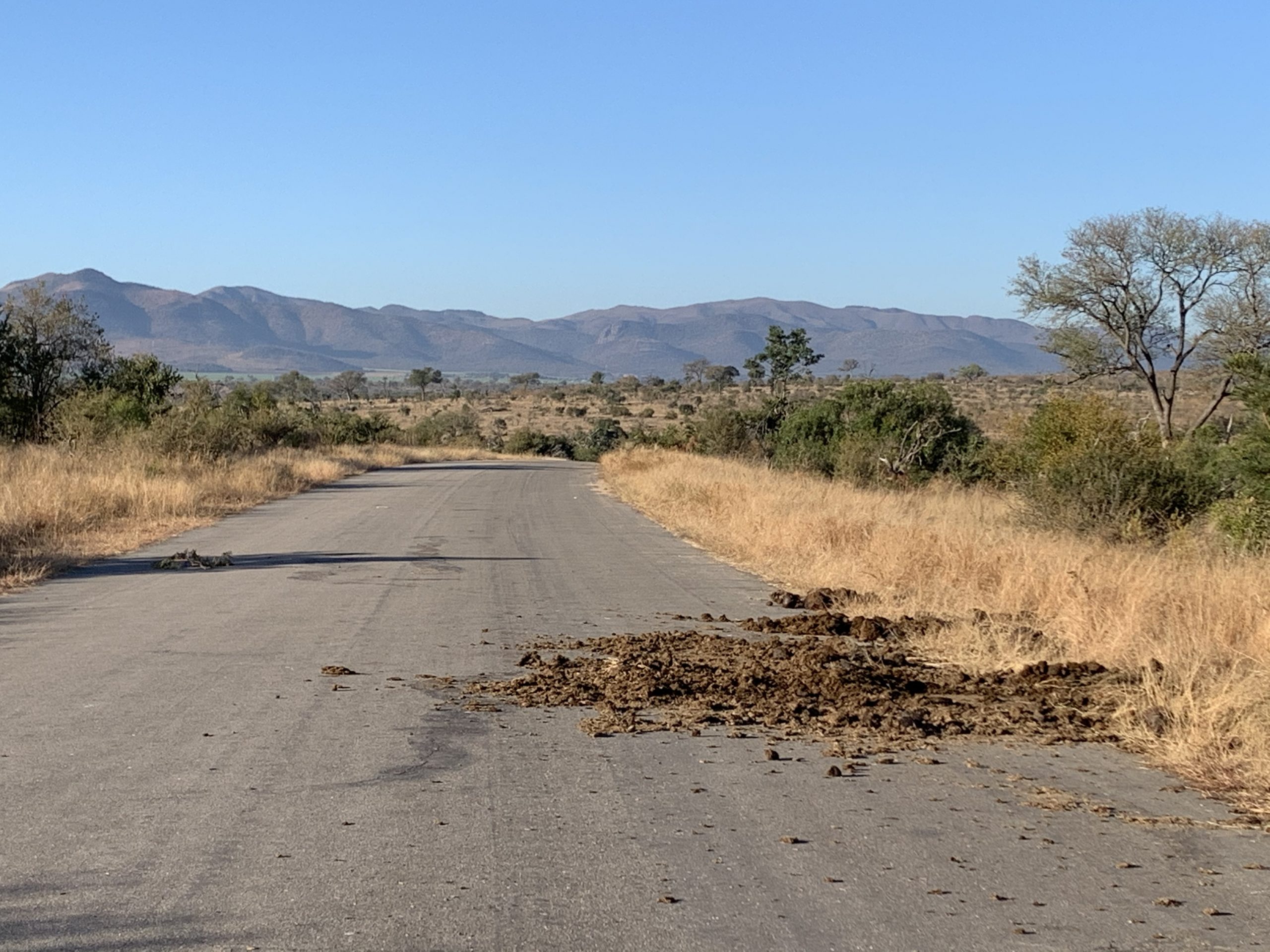 Kruger to Open for Day Visitors - What Can You Expect?